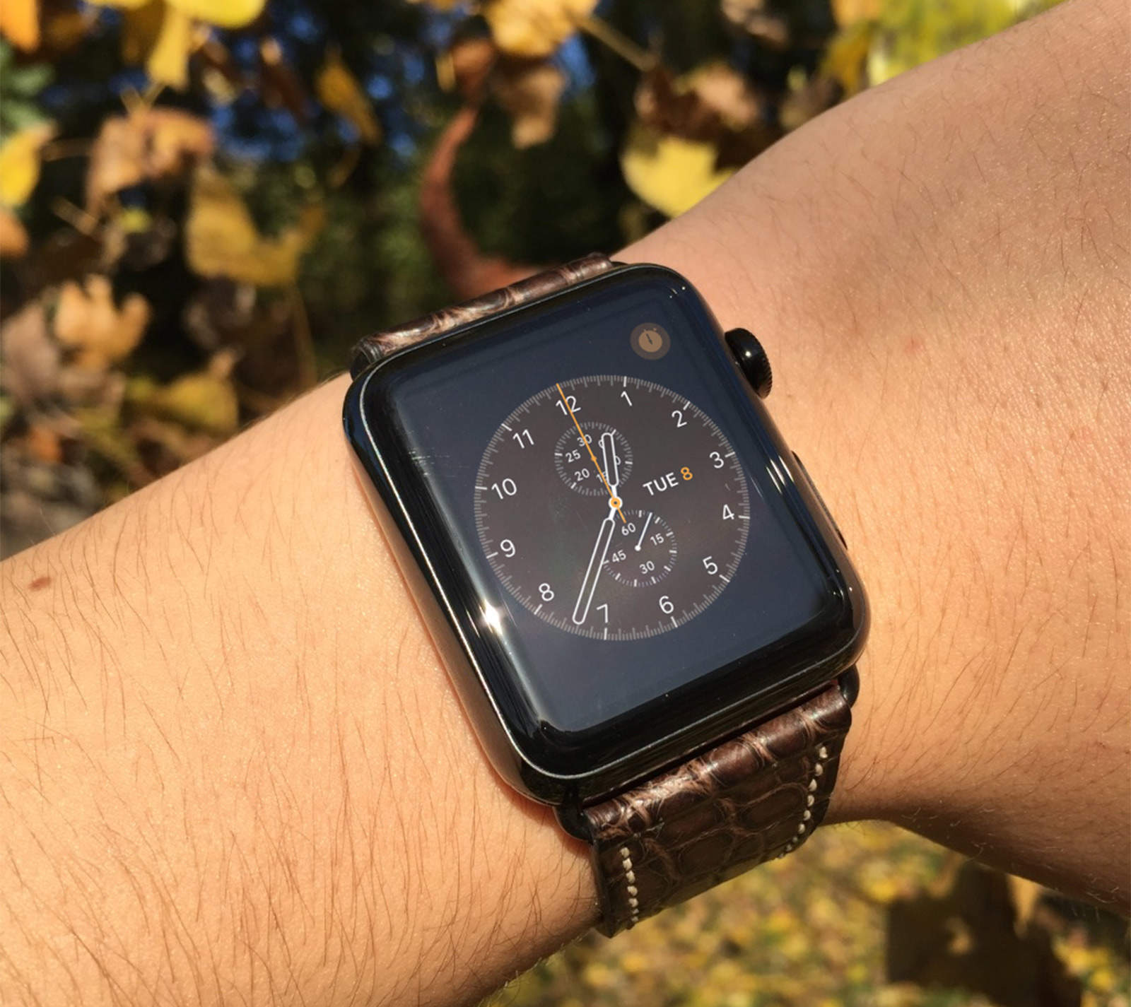 Meet Instagram's biggest Apple Watch band fan