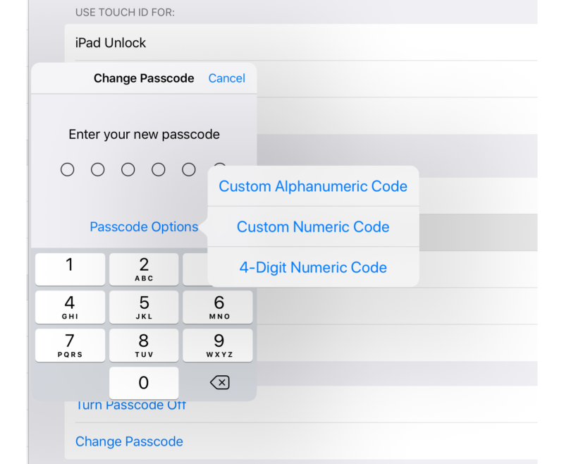 How to set up an alphanumeric iPhone passcode so cops can't hack it