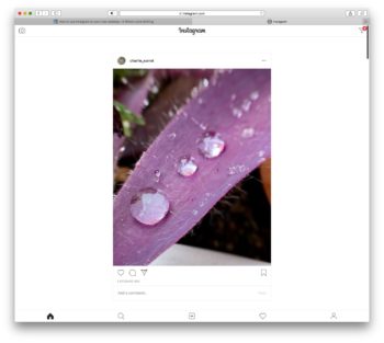 How to post to Instagram on your Mac | Cult of Mac