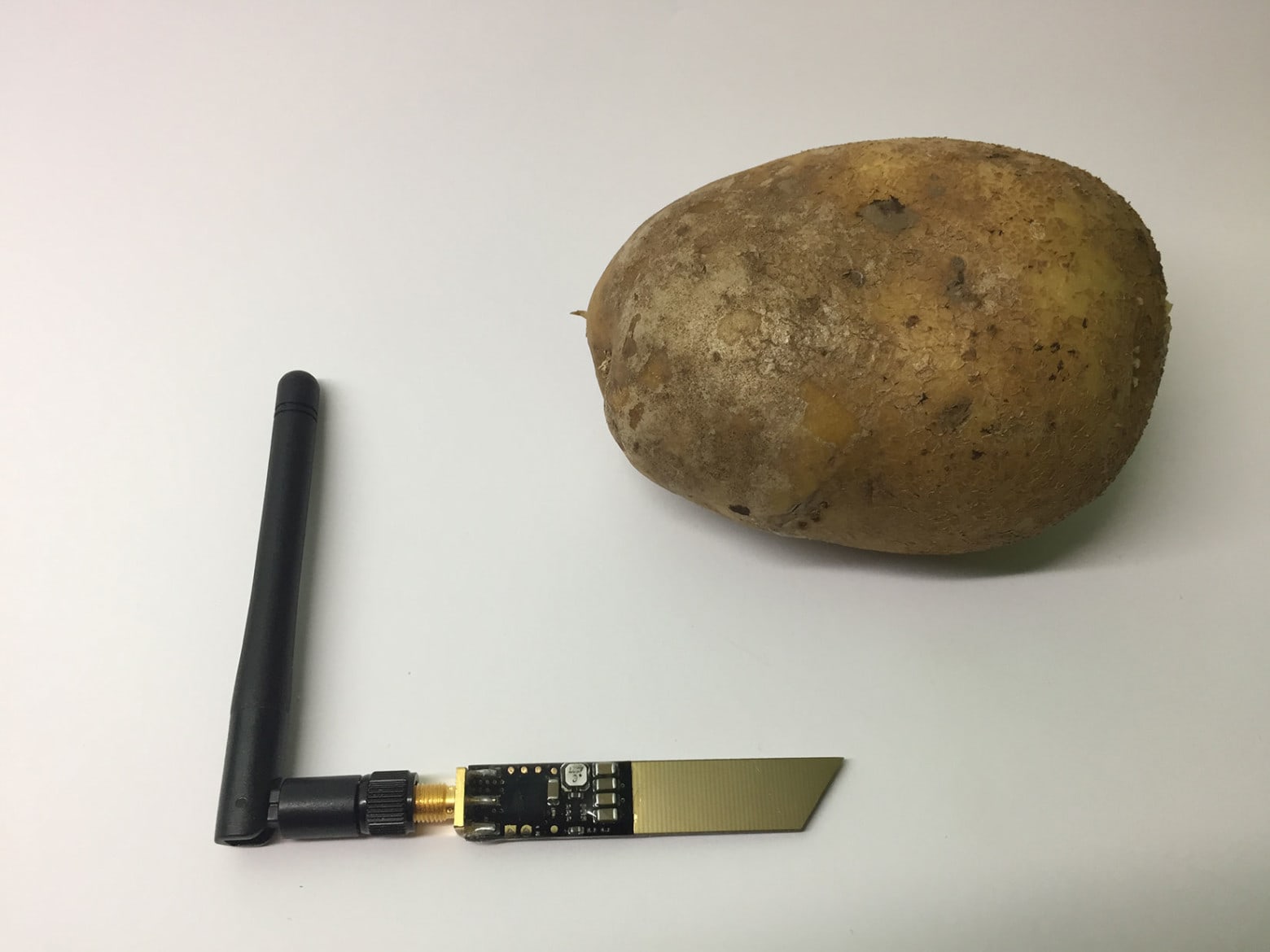 The Smart Potato is ready to be your digital assistant.
