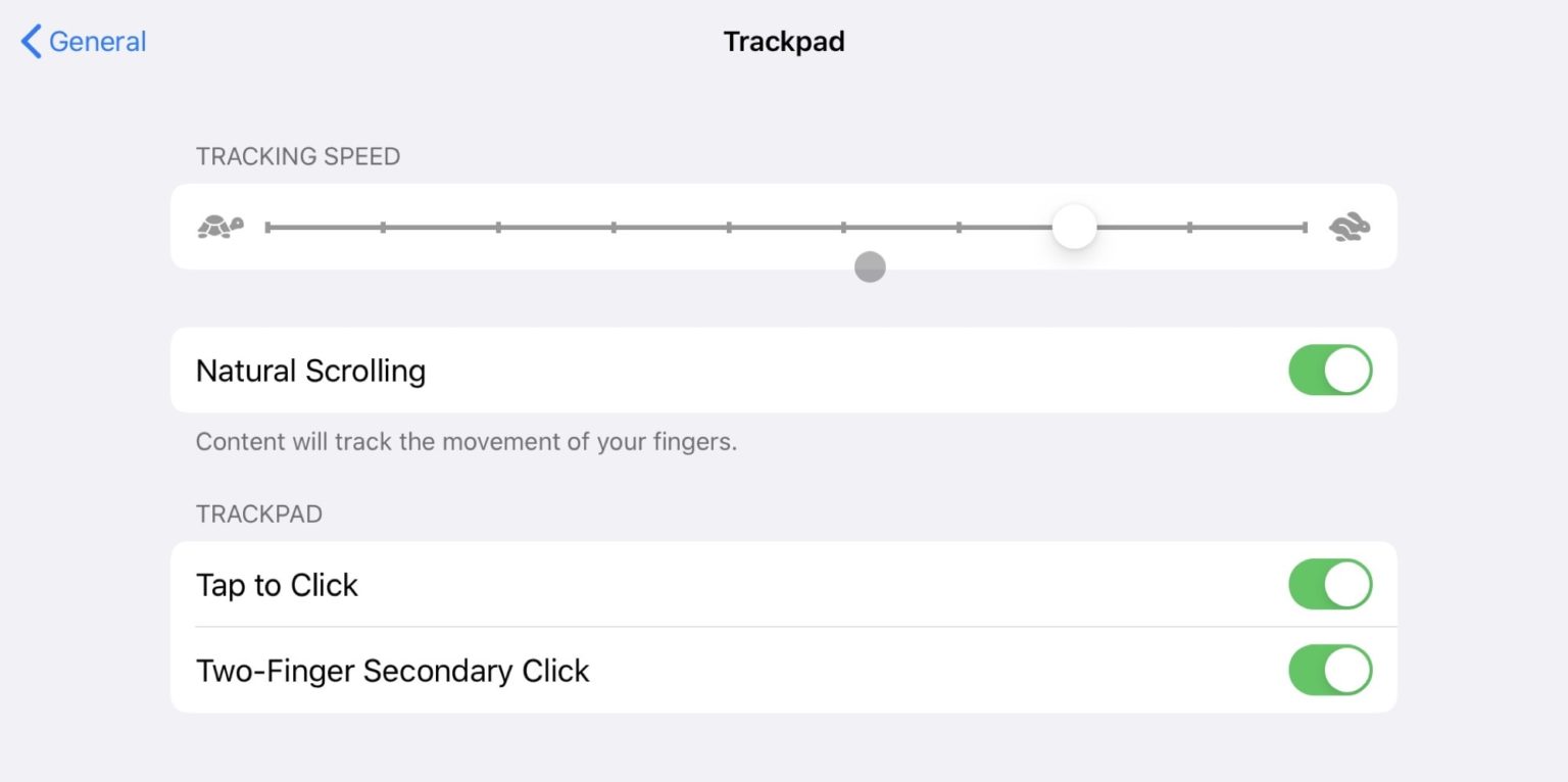 How to customize iPad mouse in Pointer Control settings | Cult of Mac
