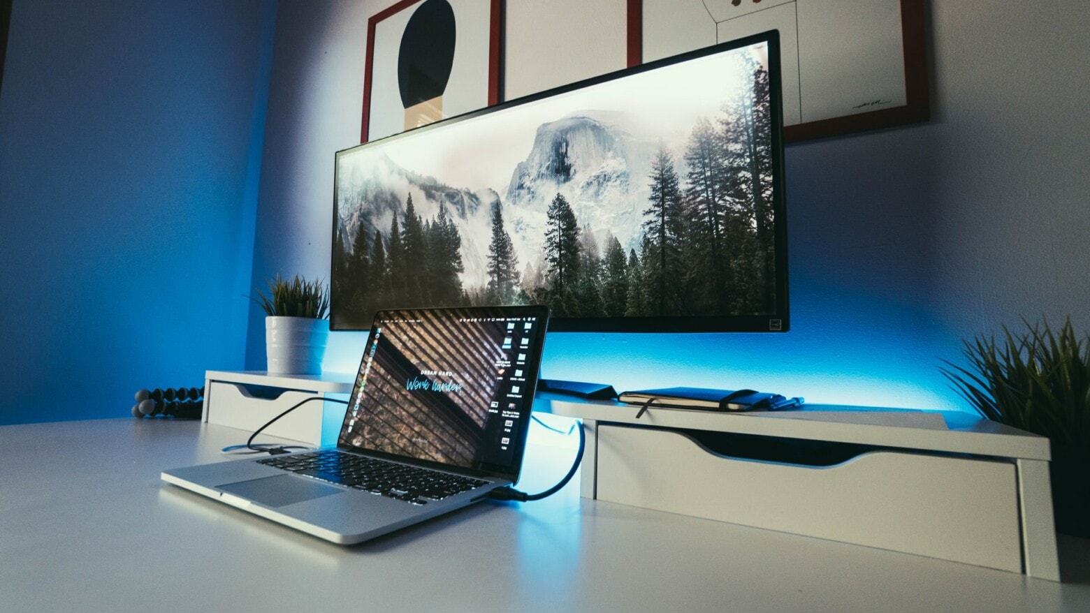Best Mac Monitor in 2026 | Cult of Mac