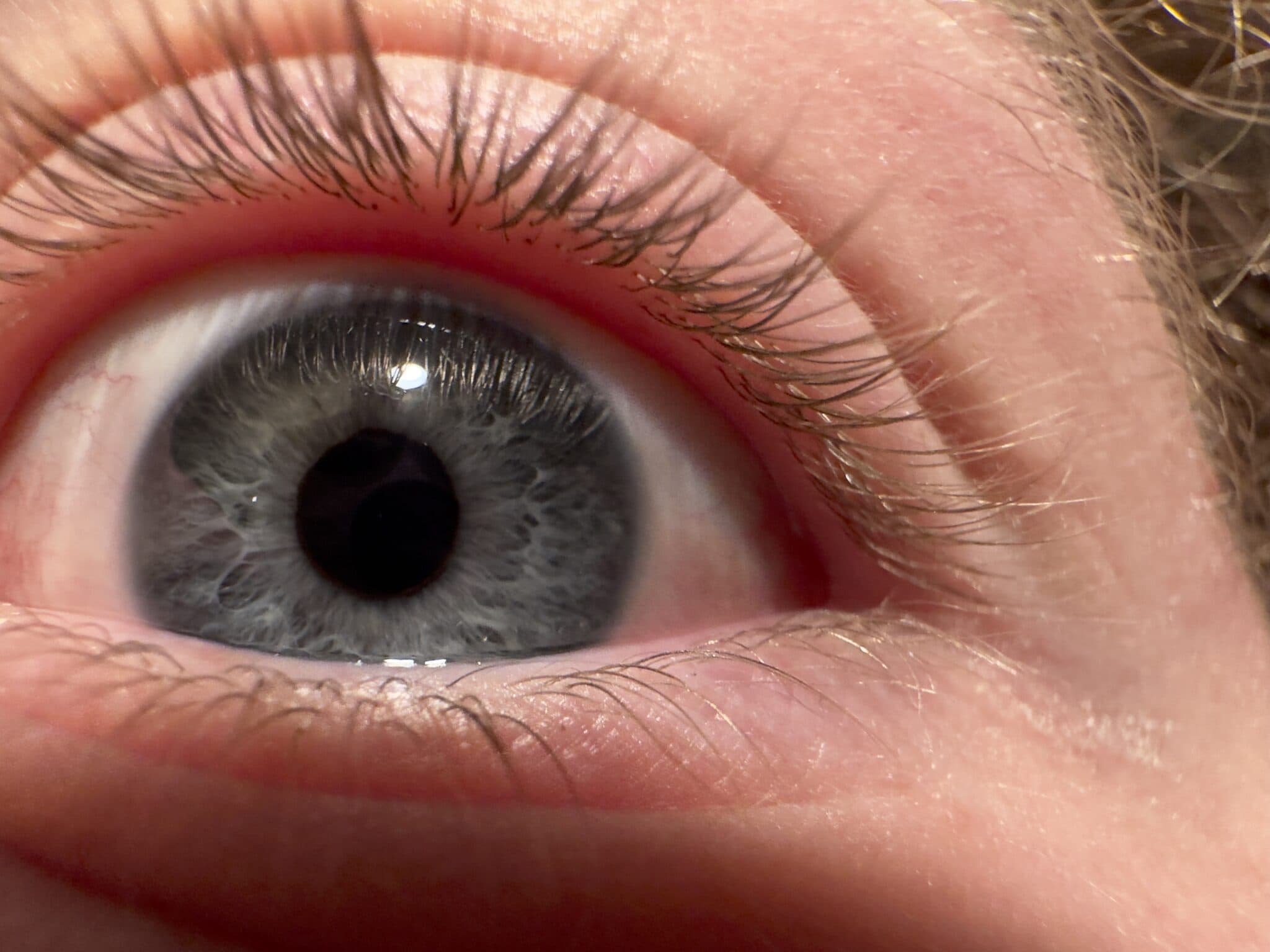 iPhone 14 Pro review: Dynamic Island and massive camera sensor offer ...