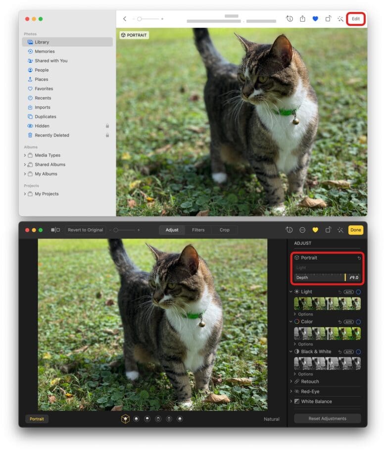iPhone photo blur: How to adjust Portrait mode background blur | Cult ...