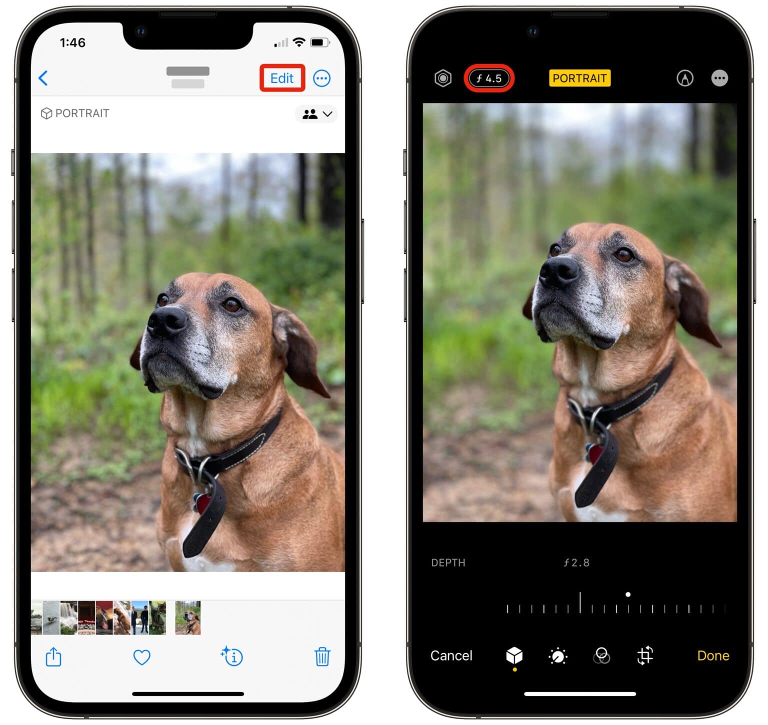 iPhone photo blur: How to adjust Portrait mode background blur ...