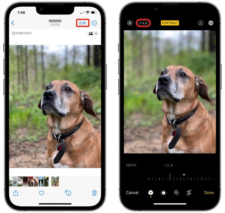 iPhone photo blur: How to adjust Portrait mode background blur | Cult ...