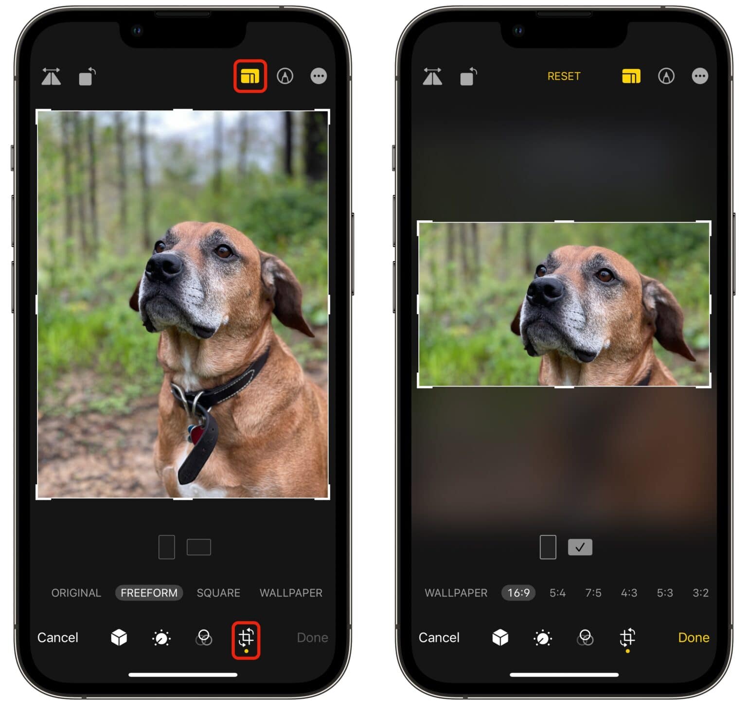 Rotate, skew and crop a photo on iPhone | Cult of Mac