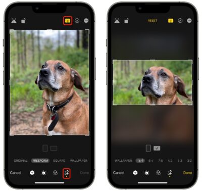 Rotate, skew and crop a photo on iPhone | Cult of Mac