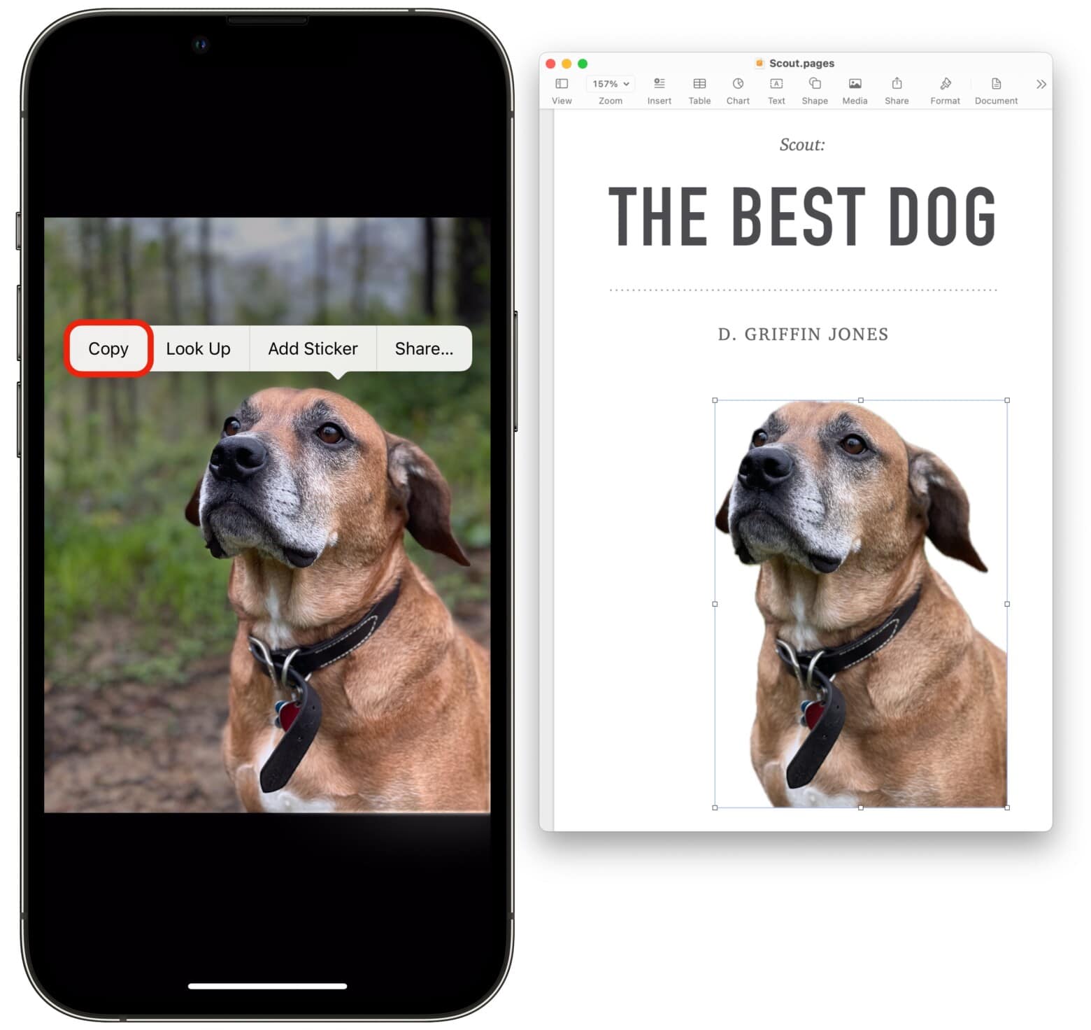 How to use Continuity on your iPhone, Mac, Watch and iPad | Cult of Mac