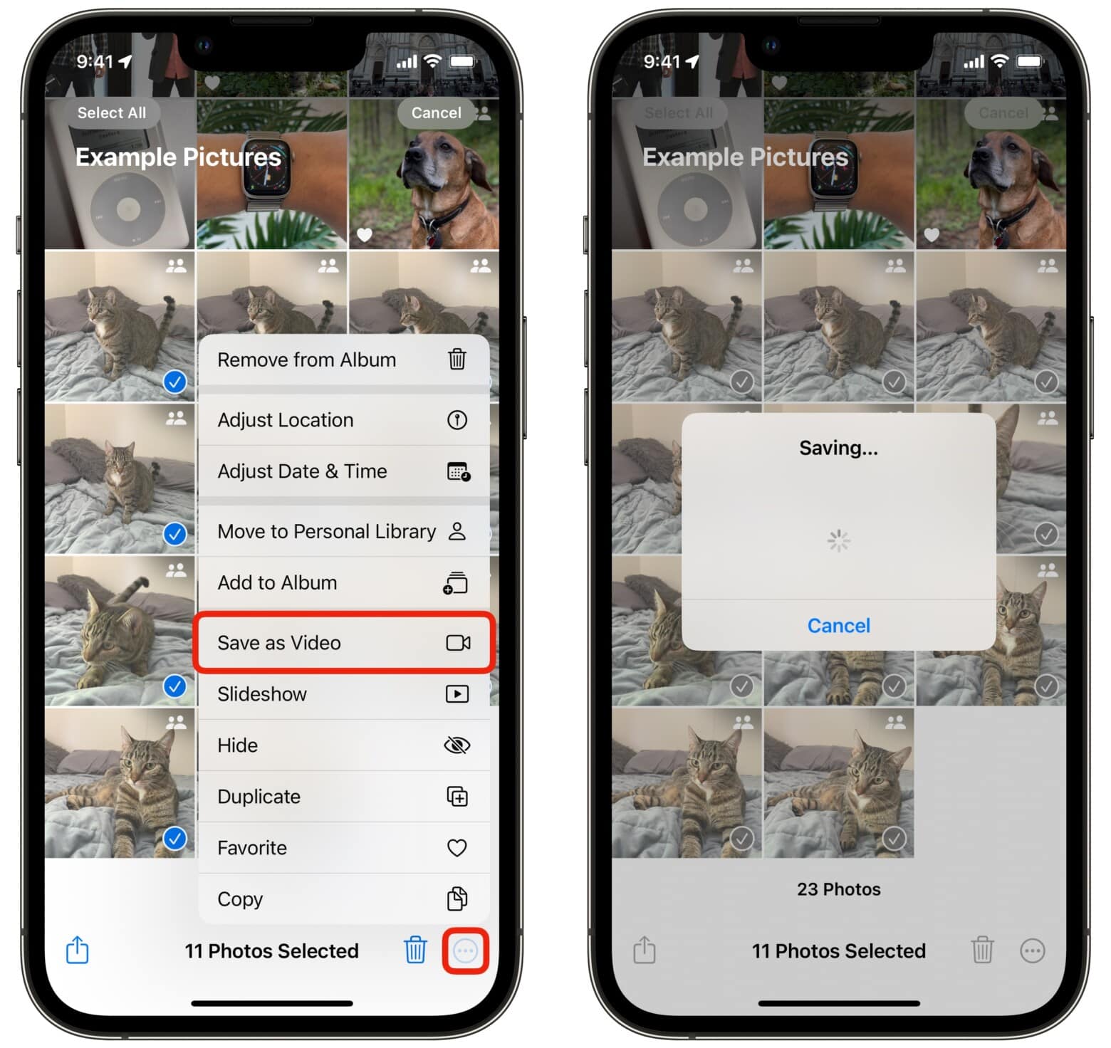 Turn Live Photos into video and save them with this quick trick | Cult ...