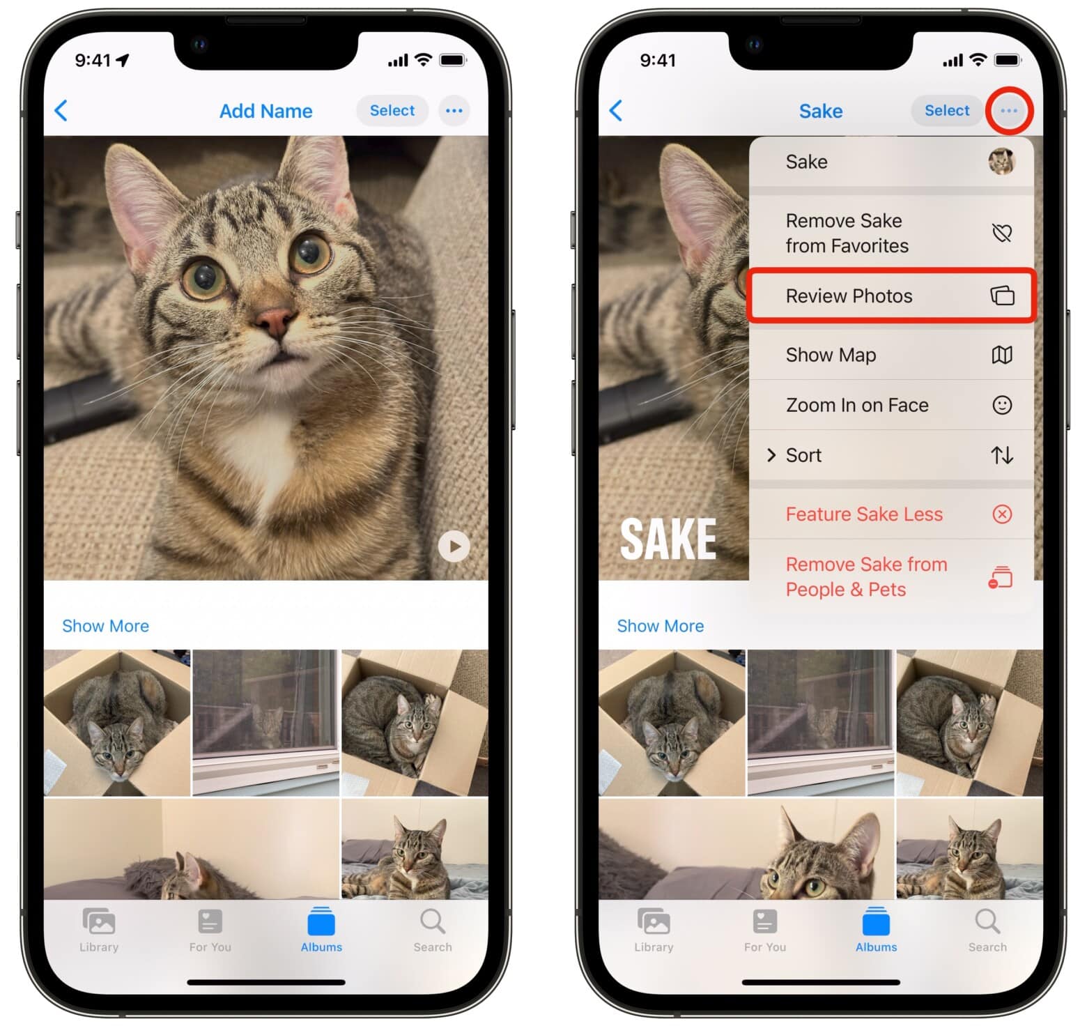 How to tag photos on iPhone with people and pets | Cult of Mac