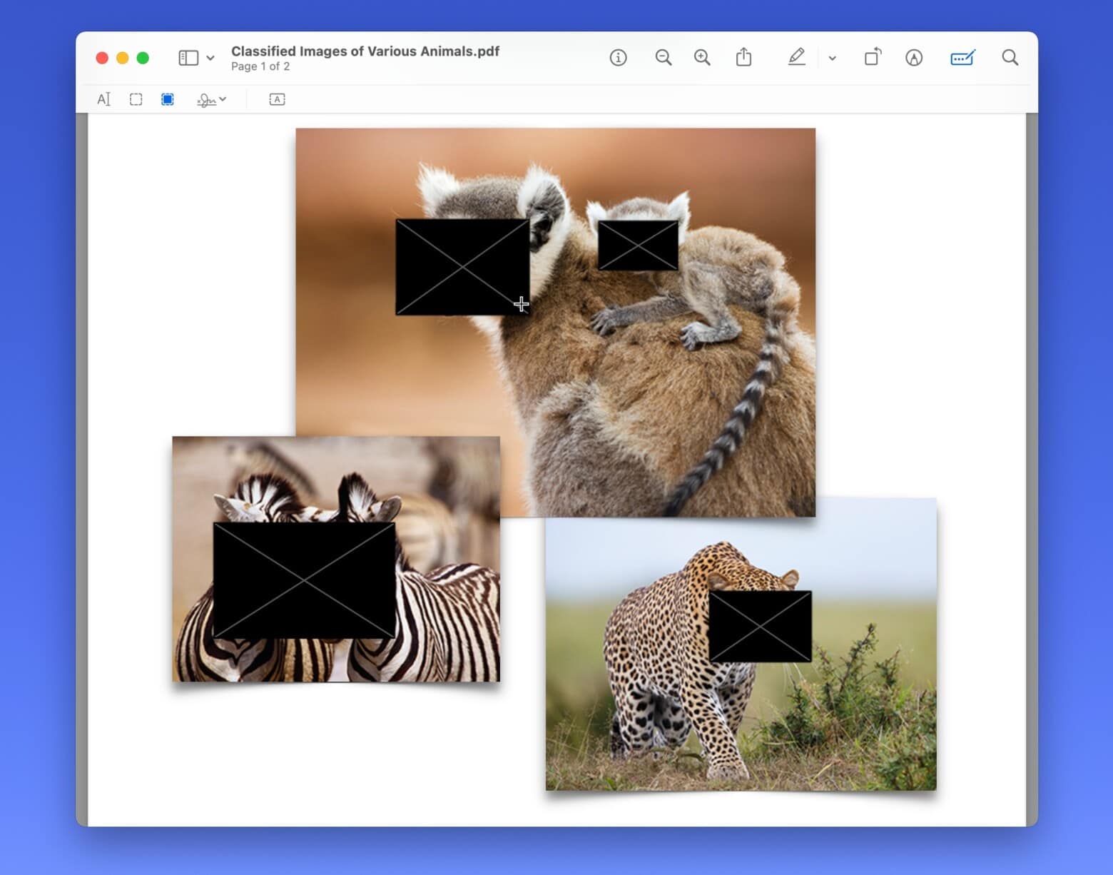 Mac Preview app: How to edit images, fill PDFs and more | Cult of Mac