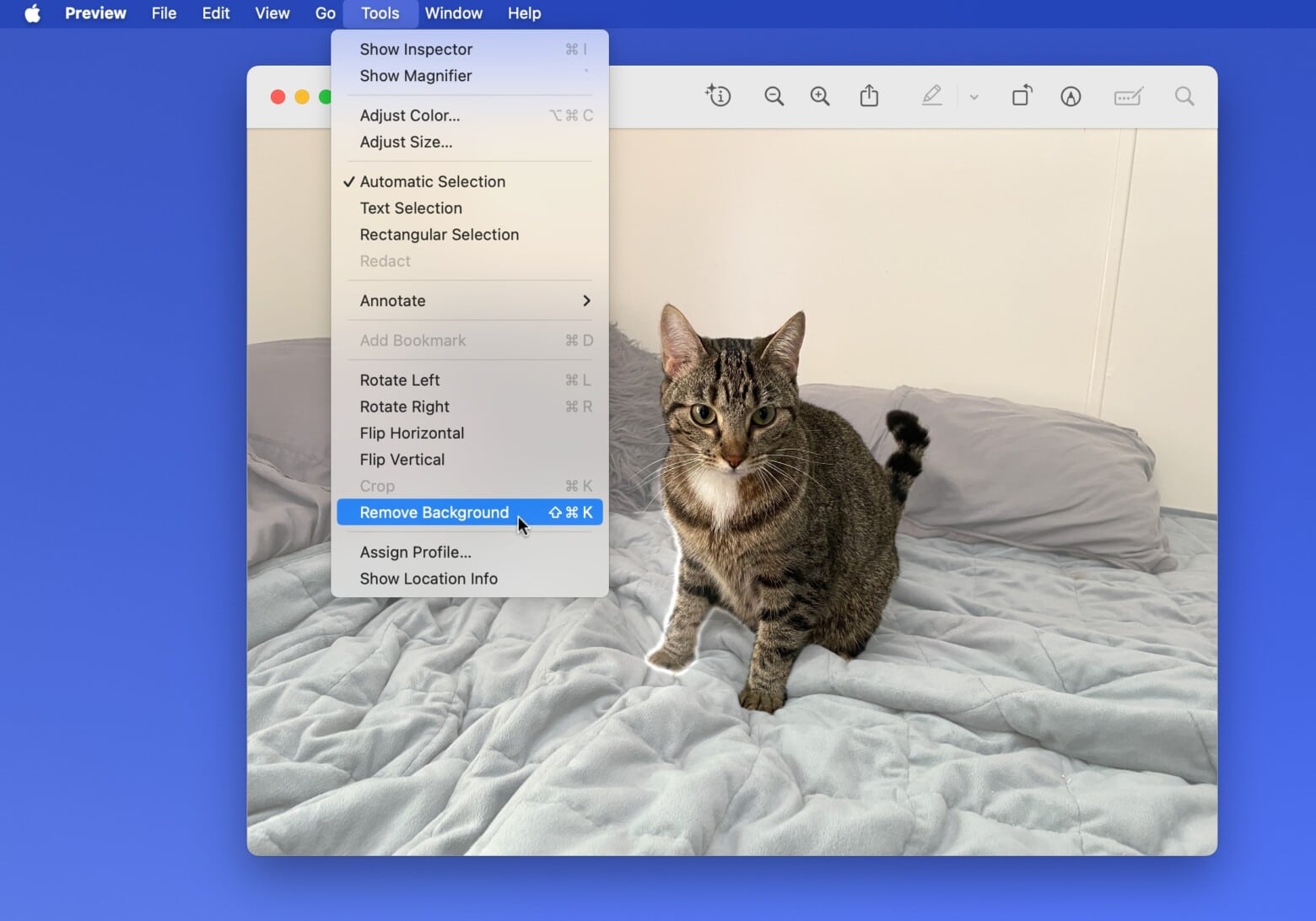 Mac Preview app: How to edit images, fill PDFs and more | Cult of Mac