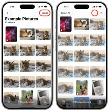 Turn Live Photos into video and save them with this quick trick | Cult ...