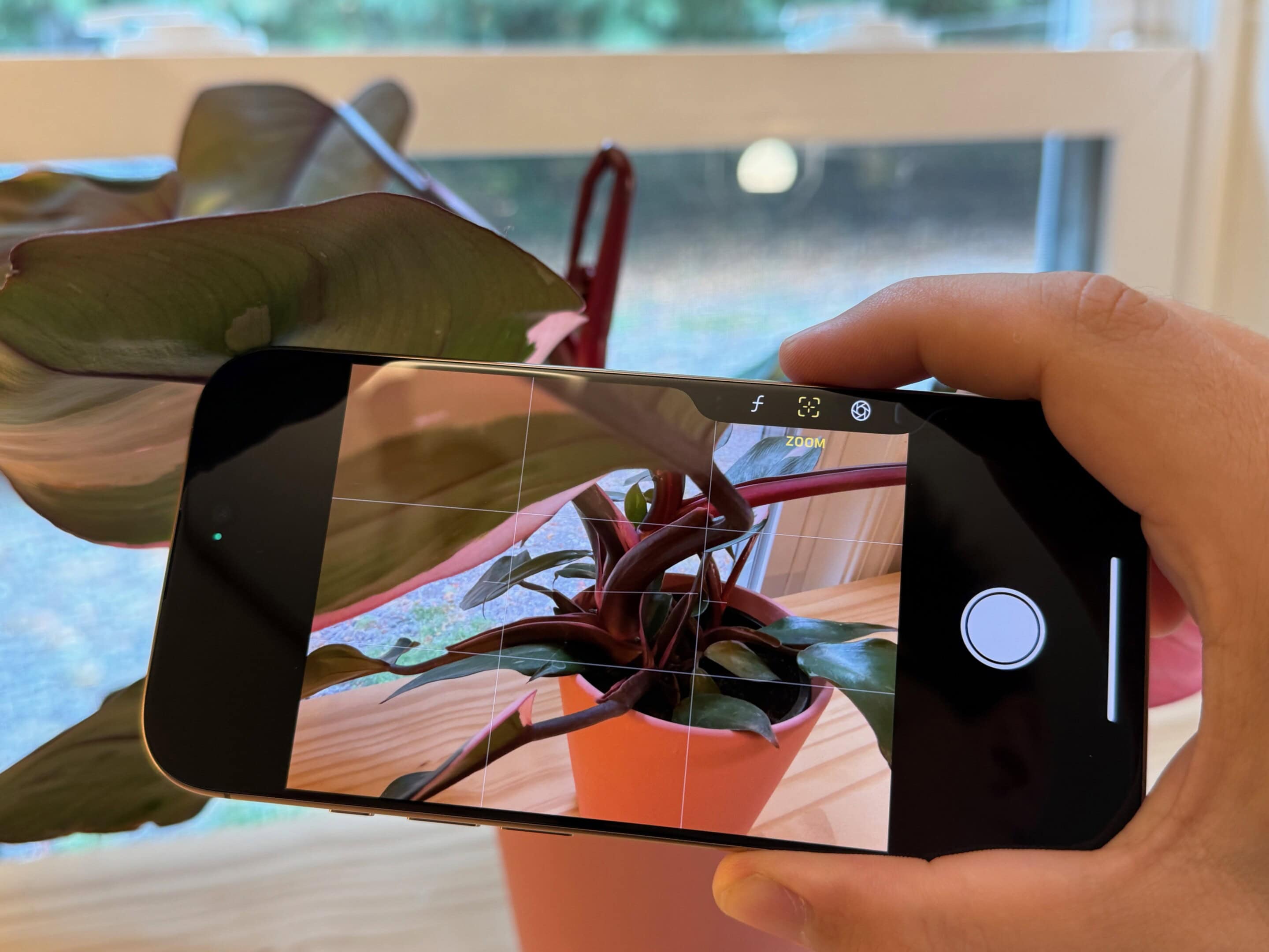 iPhone 16 Pro Review: Not much new, but everything is better | Cult of Mac