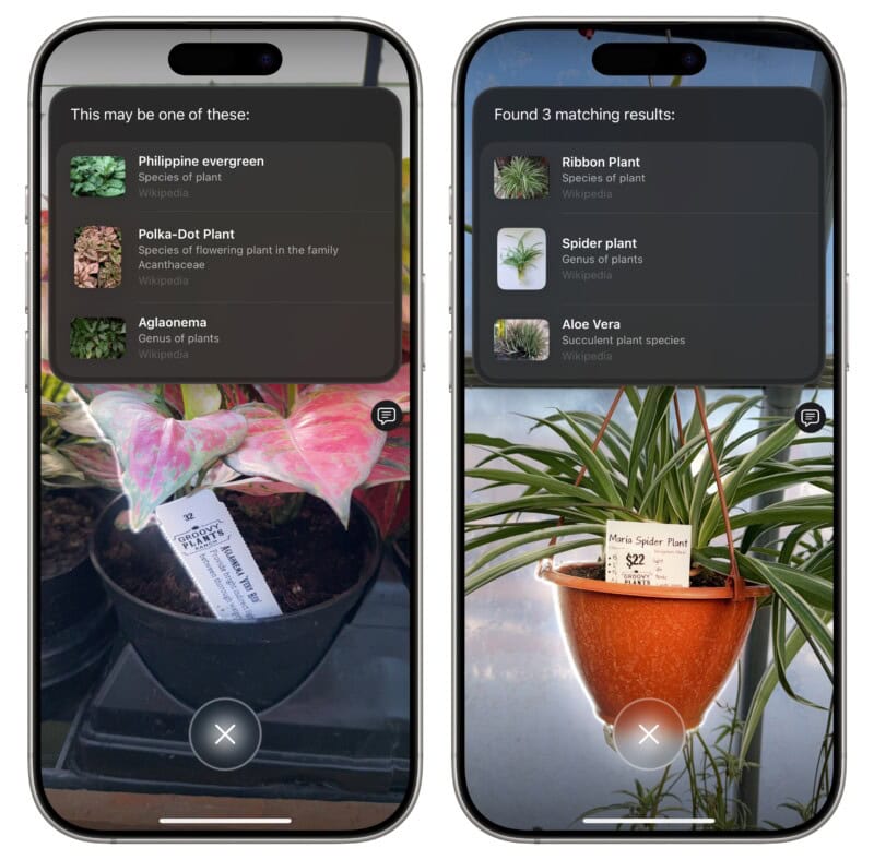 Visual Intelligence: How to look up info with iPhone AI tool | Cult of Mac