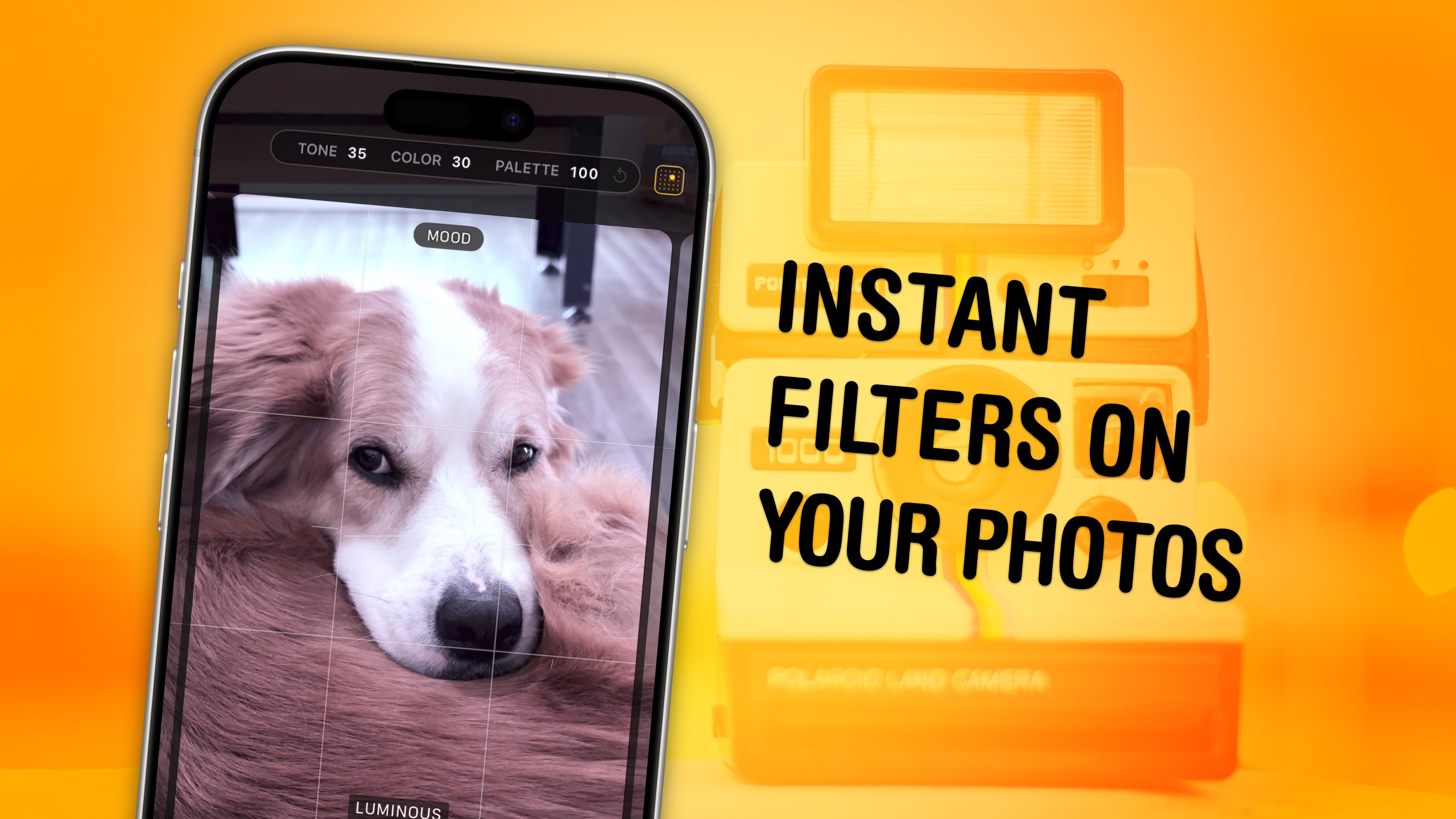 Photo styles: Take iPhone pictures with different aesthetics | Cult of Mac