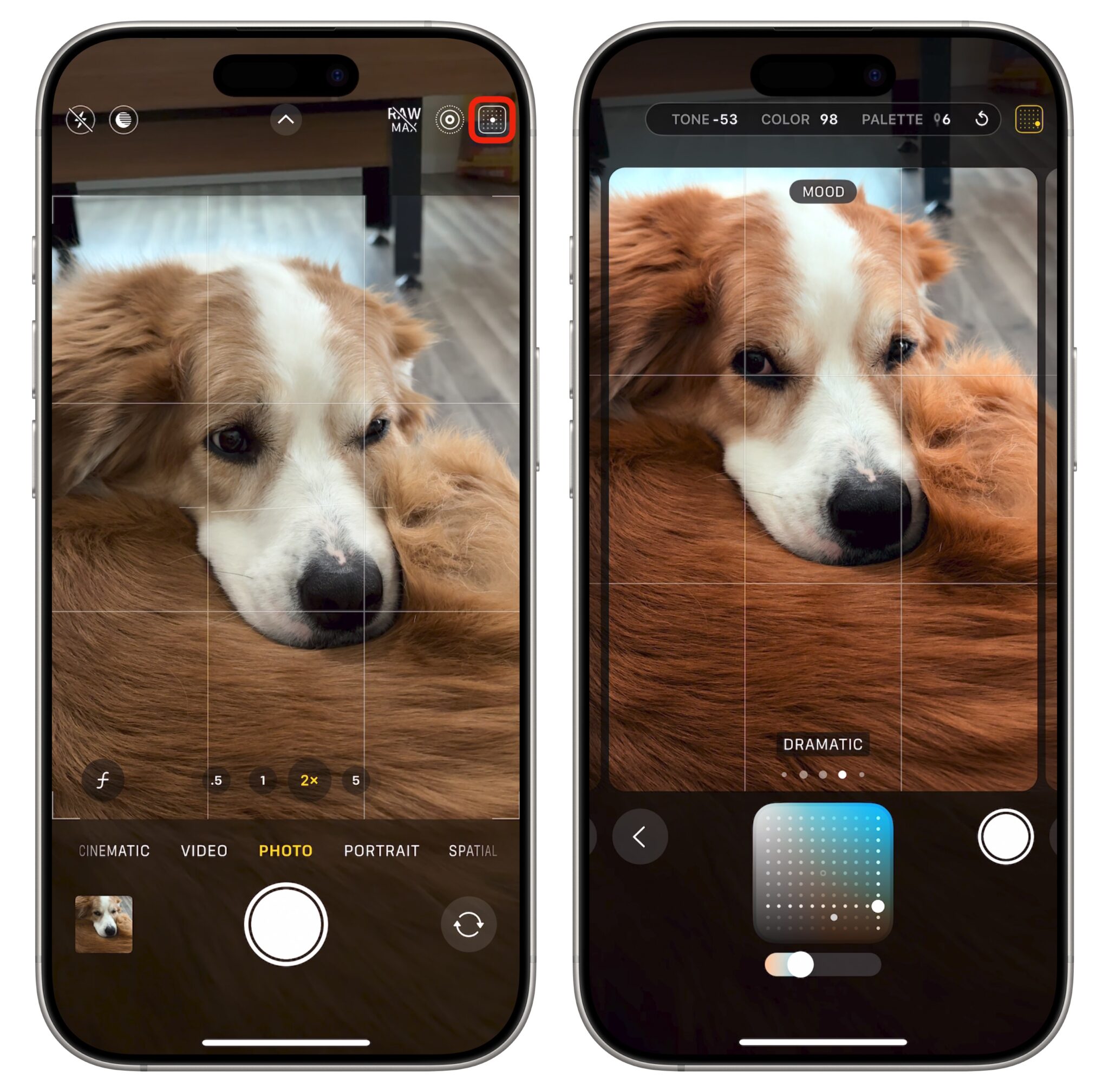 Photo styles: Take iPhone pictures with different aesthetics | Cult of Mac