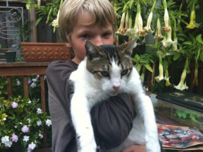 iPhone 4 is back: Why Gen Z embraces Apple's retro classic | Cult of Mac