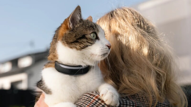 Tractive pet trackers do much more than AirTag | Cult of Mac
